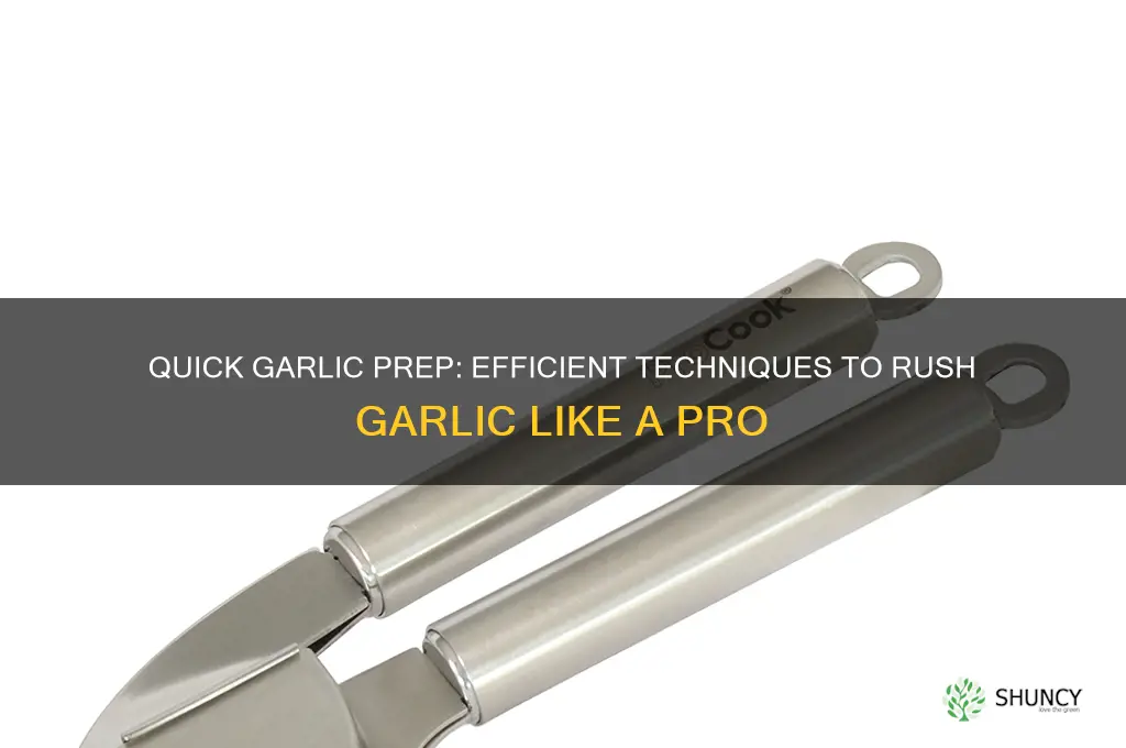 Quick Garlic Prep: Efficient Techniques To Rush Garlic Like A Pro | ShunCy