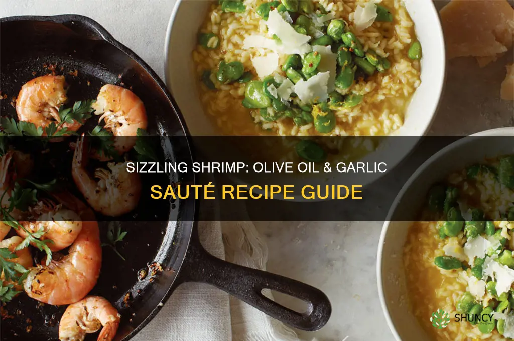 Sizzling Shrimp: Olive Oil & Garlic Sauté Recipe Guide | ShunCy