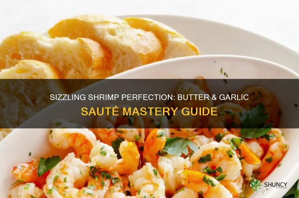 Sizzling Shrimp Perfection: Butter & Garlic Sauté Mastery Guide | ShunCy