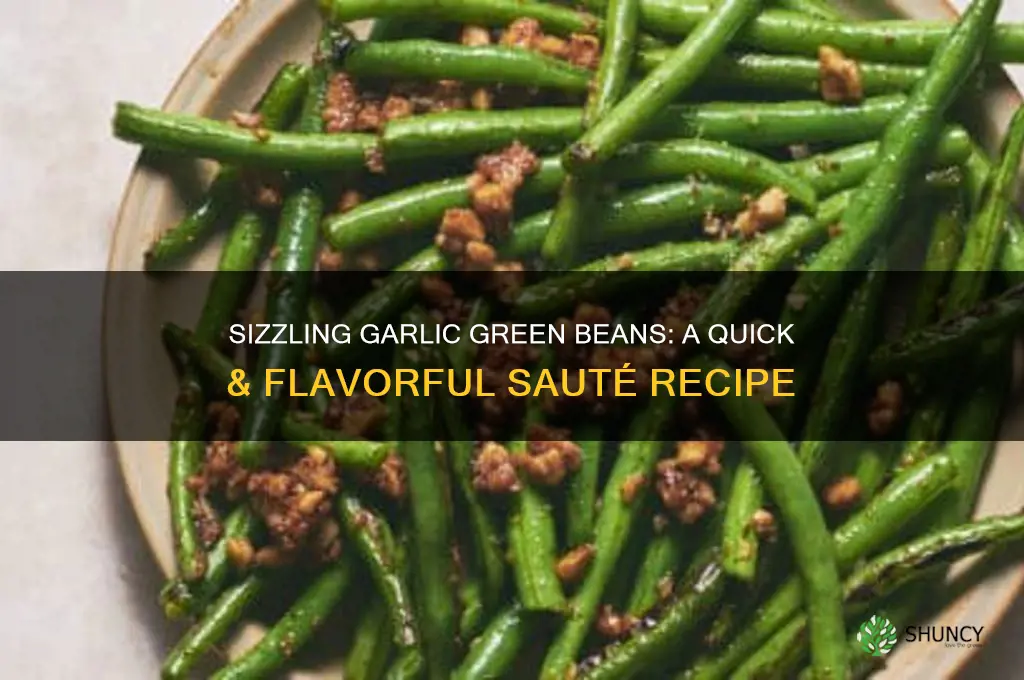 Sizzling Garlic Green Beans: A Quick & Flavorful Sauté Recipe | ShunCy