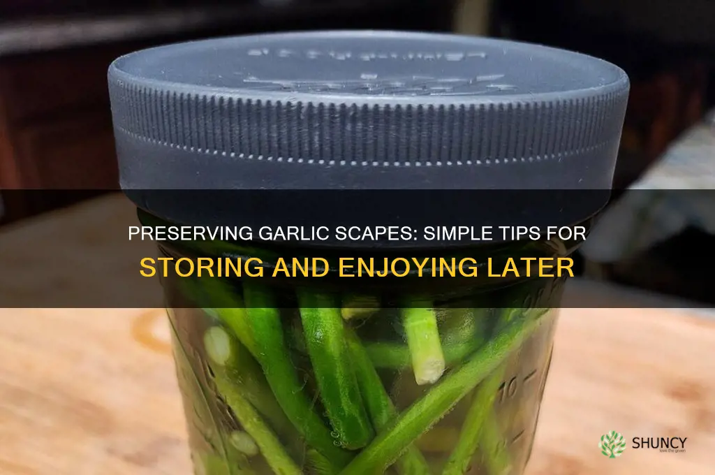 Preserving Garlic Scapes: Simple Tips For Storing And Enjoying Later ...