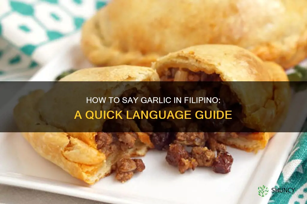 How To Say Garlic In Filipino: A Quick Language Guide | ShunCy
