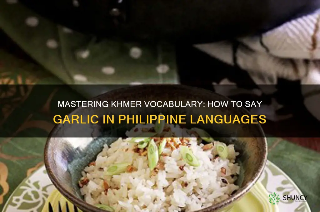 Mastering Khmer Vocabulary: How To Say Garlic In Philippine Languages ...