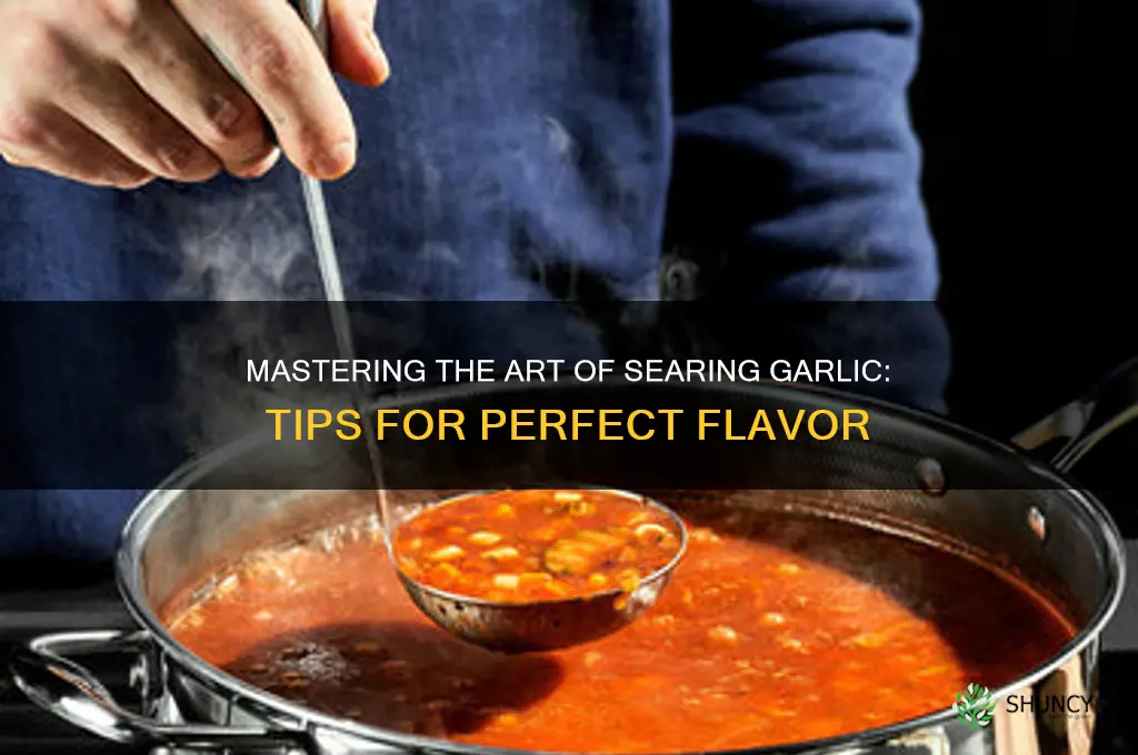 Mastering The Art Of Searing Garlic: Tips For Perfect Flavor | ShunCy