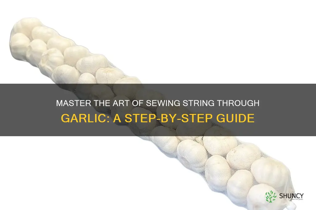 Master The Art Of Sewing String Through Garlic: A Step-By-Step Guide ...