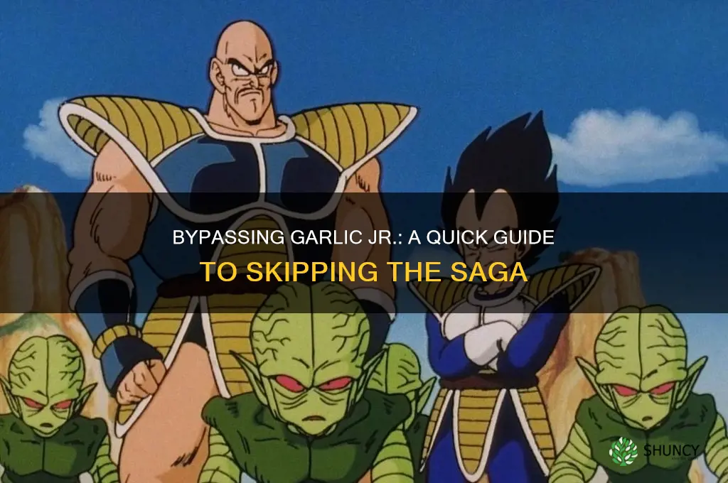 Bypassing Garlic Jr.: A Quick Guide To Skipping The Saga | ShunCy