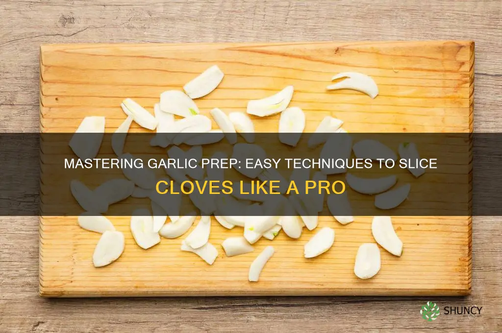 Mastering Garlic Prep: Easy Techniques To Slice Cloves Like A Pro | ShunCy