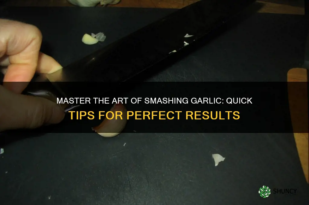 Master The Art Of Smashing Garlic: Quick Tips For Perfect Results | ShunCy
