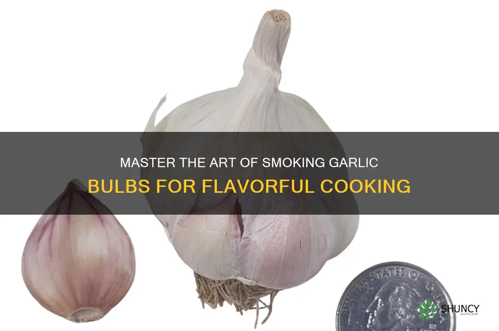 Master The Art Of Smoking Garlic Bulbs For Flavorful Cooking | ShunCy