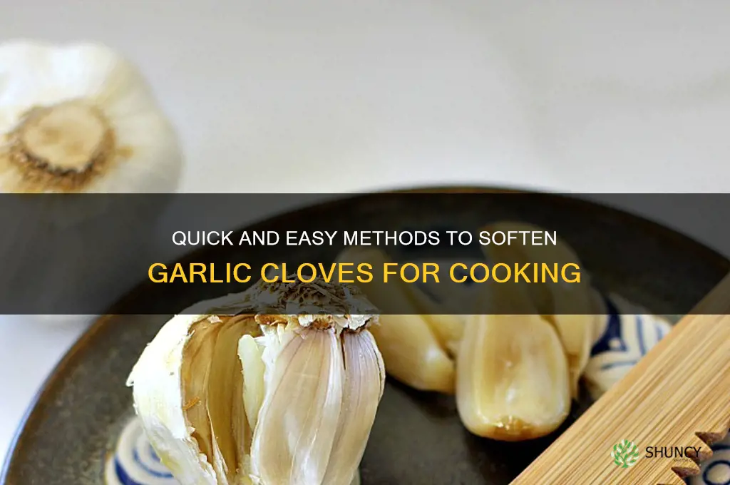 Quick And Easy Methods To Soften Garlic Cloves For Cooking | ShunCy