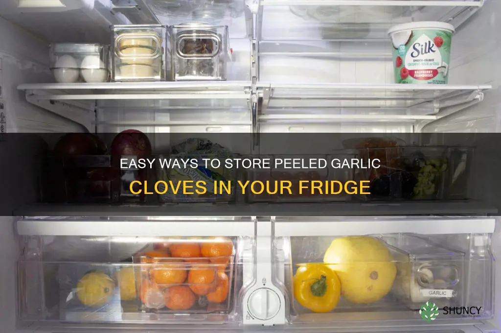 Easy Ways To Store Peeled Garlic Cloves In Your Fridge | ShunCy