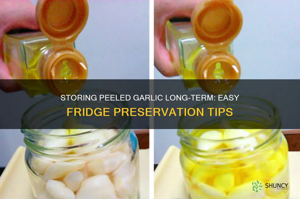 Storing Peeled Garlic Long-Term: Easy Fridge Preservation Tips | ShunCy
