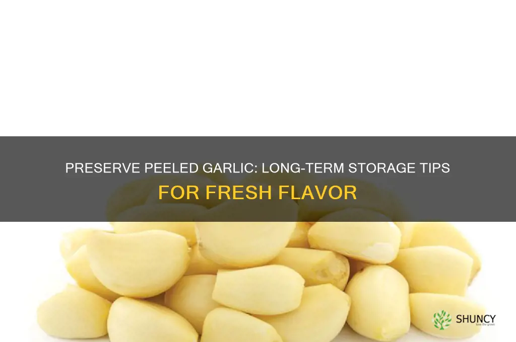 Preserve Peeled Garlic: Long-Term Storage Tips For Fresh Flavor | ShunCy