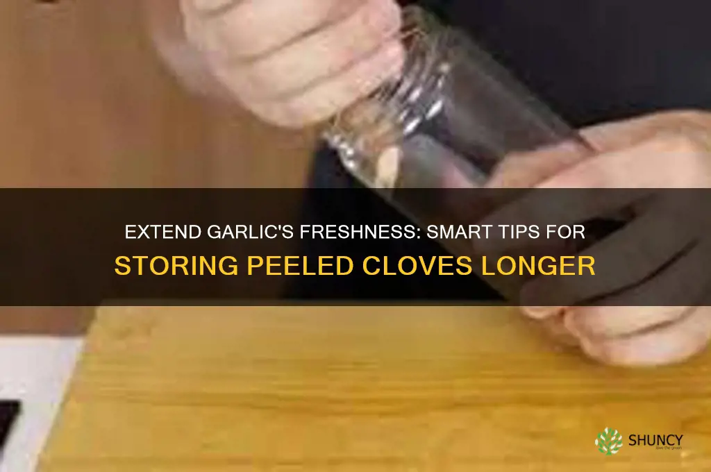 Extend Garlic's Freshness: Smart Tips For Storing Peeled Cloves Longer ...