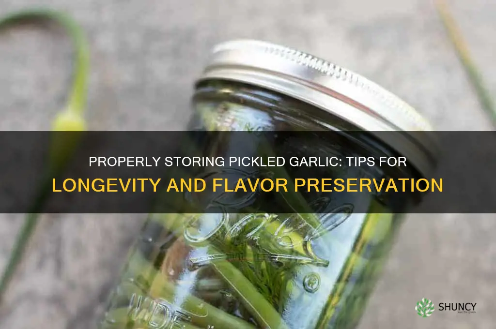 Properly Storing Pickled Garlic: Tips For Longevity And Flavor ...