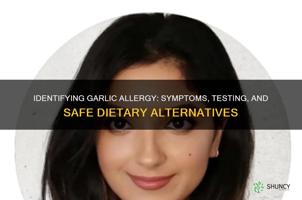 Identifying Garlic Allergy: Symptoms, Testing, And Safe Dietary ...