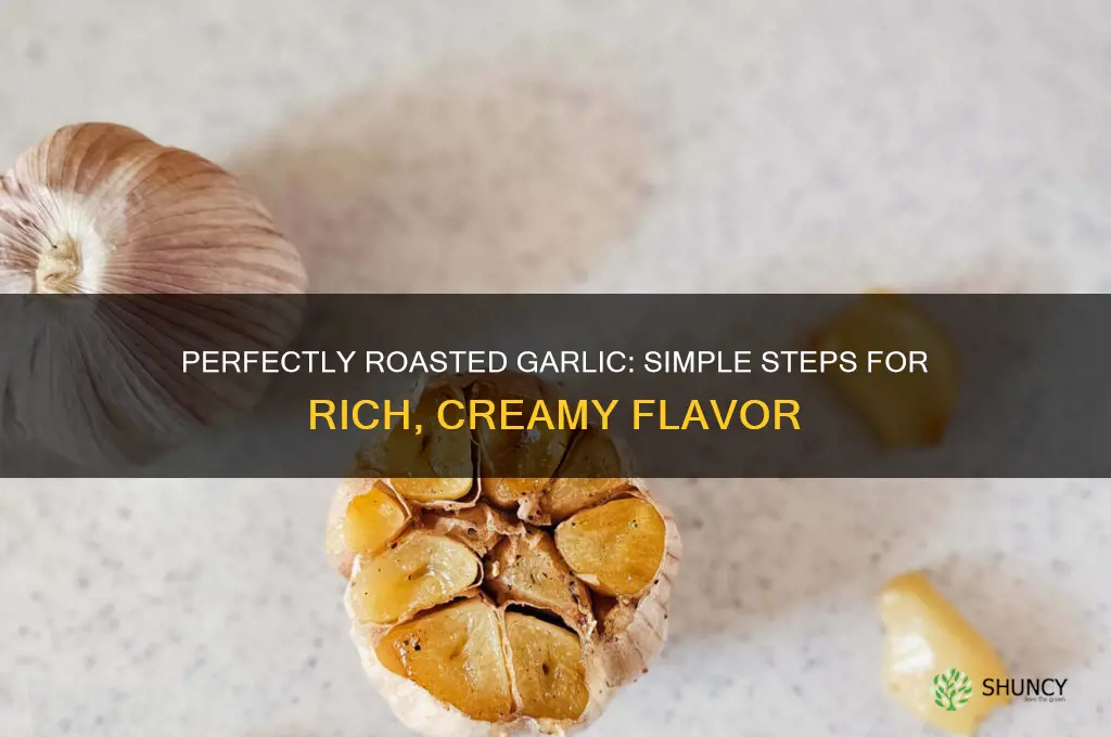 Perfectly Roasted Garlic: Simple Steps For Rich, Creamy Flavor | ShunCy