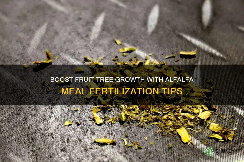 Boost Fruit Tree Growth With Alfalfa Meal Fertilization Tips | ShunCy