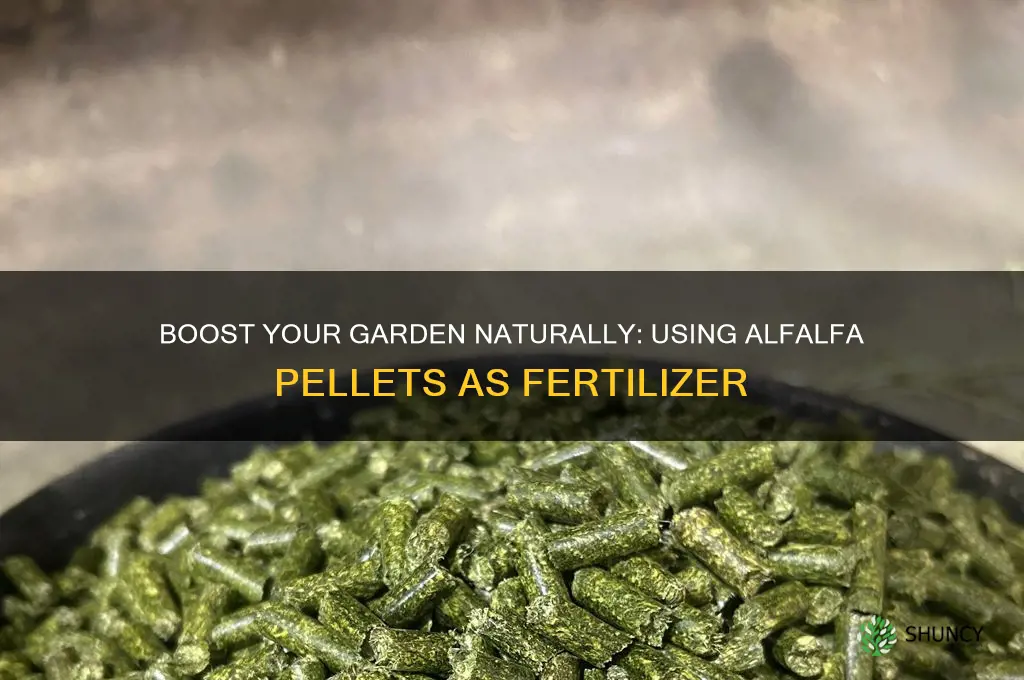 Boost Your Garden Naturally: Using Alfalfa Pellets As Fertilizer | ShunCy