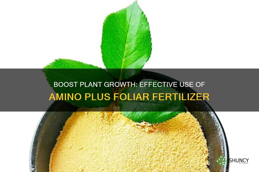 Boost Plant Growth: Effective Use Of Amino Plus Foliar Fertilizer | ShunCy