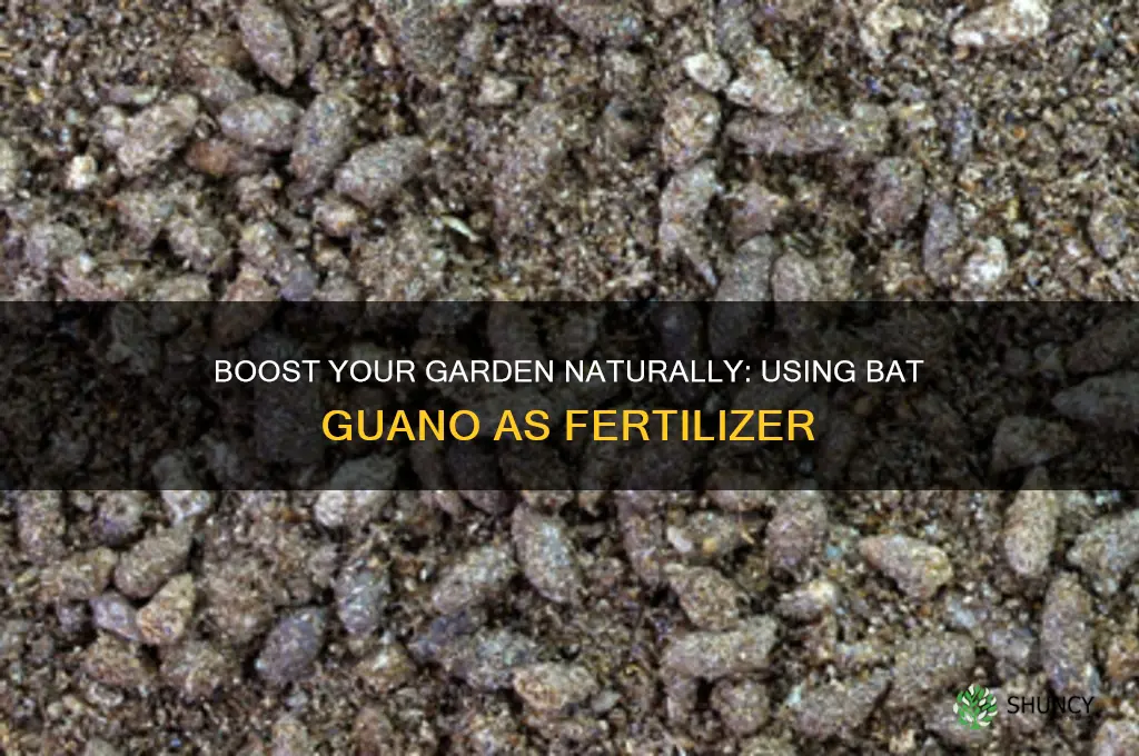 Boost Your Garden Naturally: Using Bat Guano As Fertilizer | ShunCy
