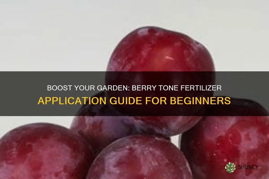 Boost Your Garden: Berry Tone Fertilizer Application Guide For ...