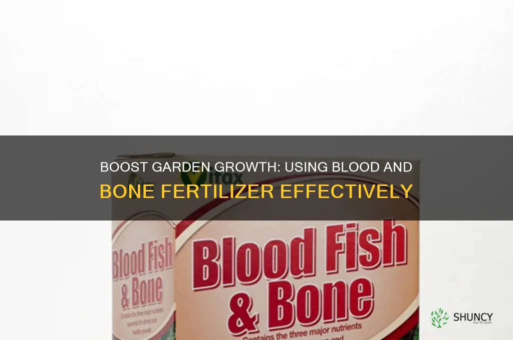 Boost Garden Growth: Using Blood And Bone Fertilizer Effectively | ShunCy