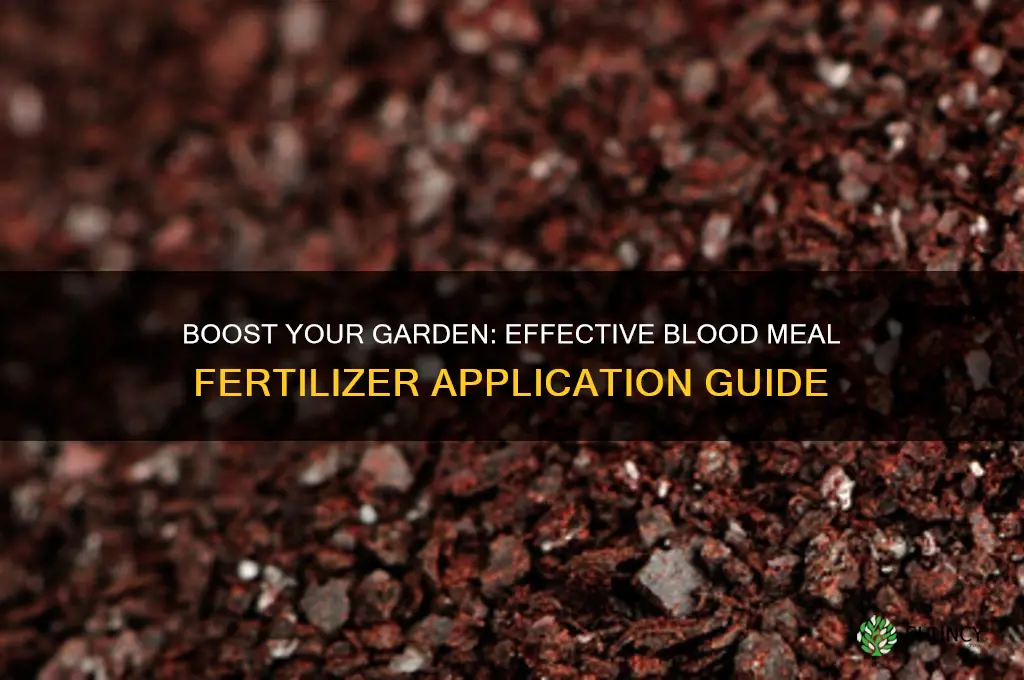 Boost Your Garden: Effective Blood Meal Fertilizer Application Guide ...