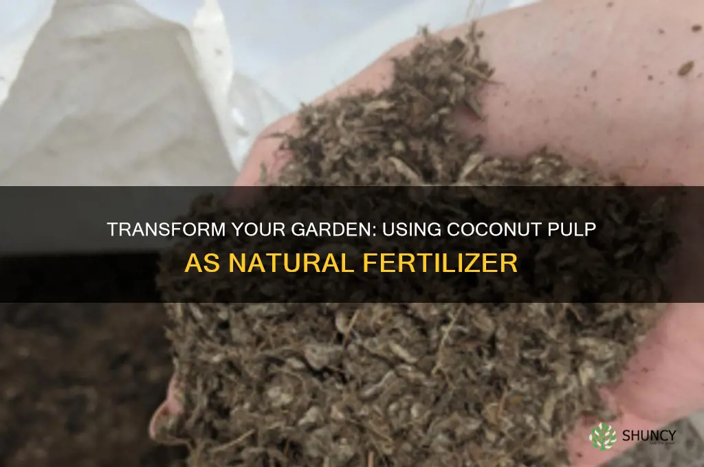 Transform Your Garden: Using Coconut Pulp As Natural Fertilizer | ShunCy