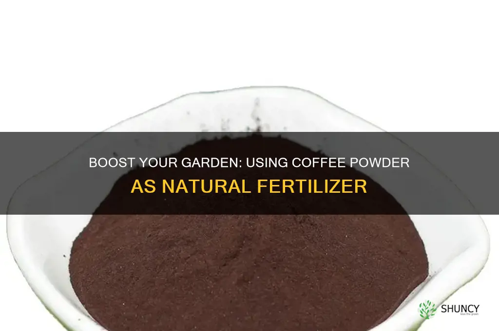 Boost Your Garden: Using Coffee Powder As Natural Fertilizer | ShunCy