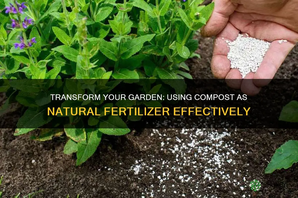 Transform Your Garden: Using Compost As Natural Fertilizer Effectively ...