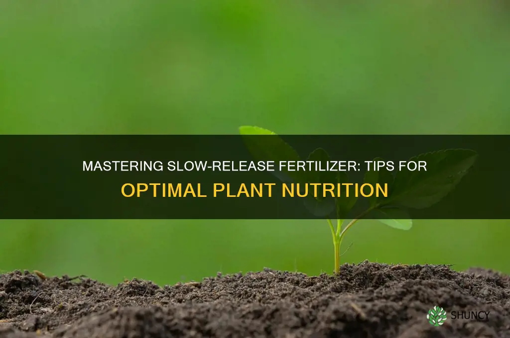 Mastering Slow-Release Fertilizer: Tips For Optimal Plant Nutrition ...
