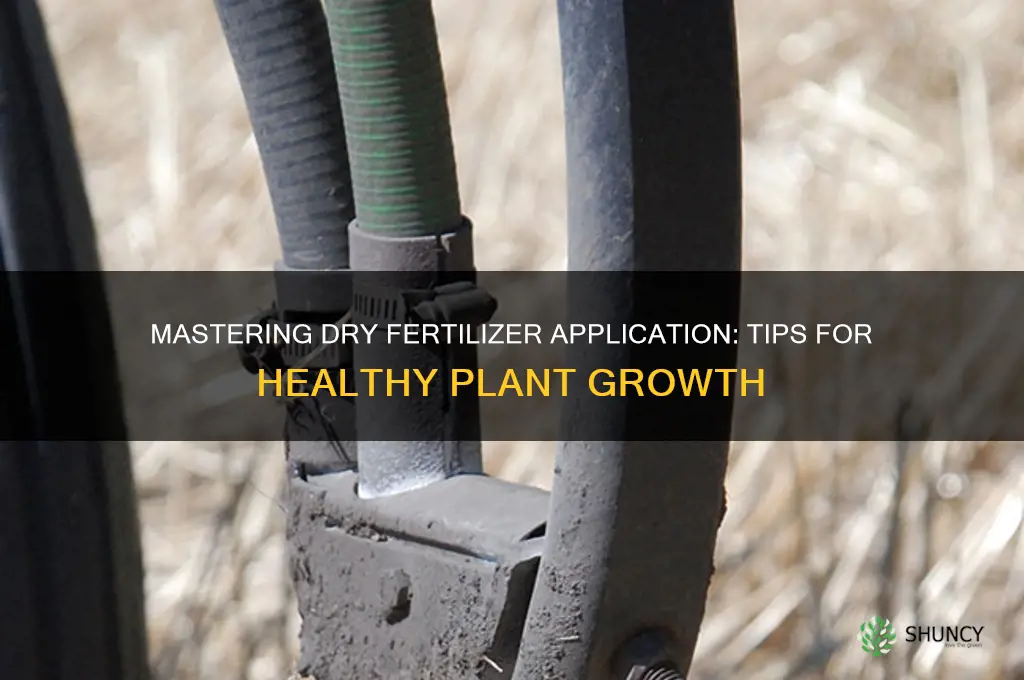 Mastering Dry Fertilizer Application: Tips For Healthy Plant Growth ...