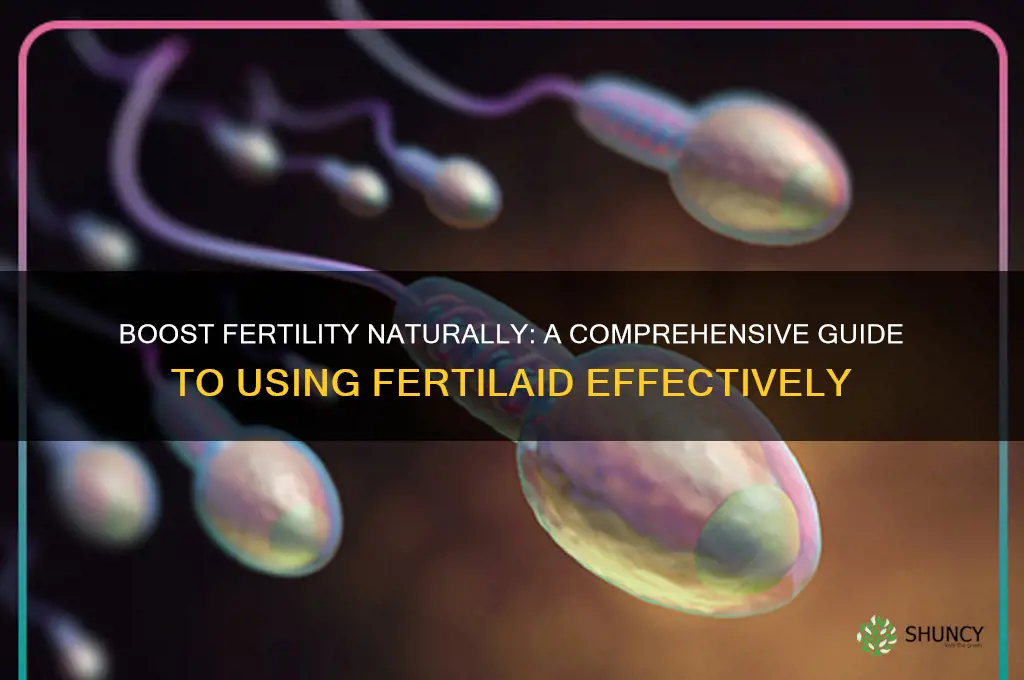 Boost Fertility Naturally: A Comprehensive Guide To Using Fertilaid ...