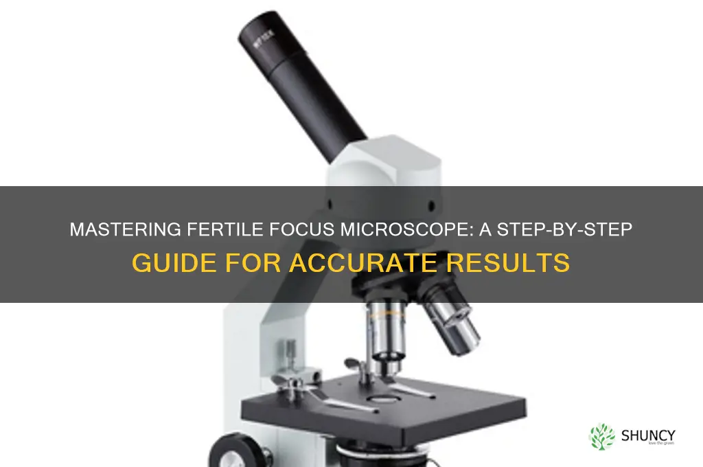 Mastering Fertile Focus Microscope: A Step-By-Step Guide For Accurate ...