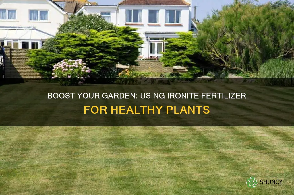 Boost Your Garden: Using Ironite Fertilizer For Healthy Plants | ShunCy