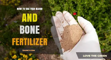 Using Fresh Chicken Manure As Fertilizer: A Step-By-Step Guide | ShunCy