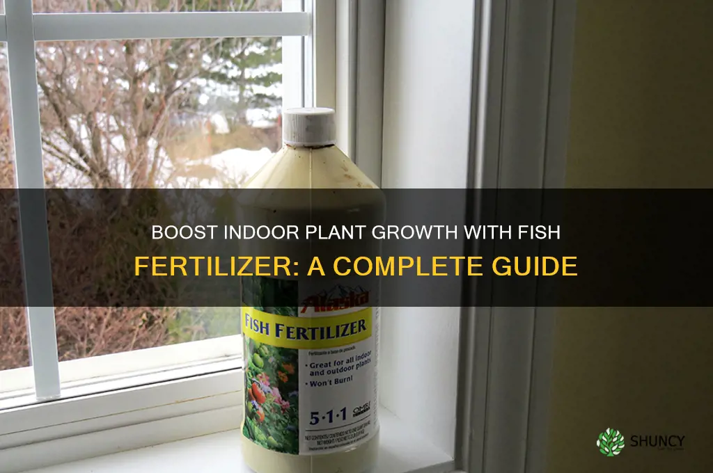 Boost Indoor Plant Growth With Fish Fertilizer: A Complete Guide | ShunCy