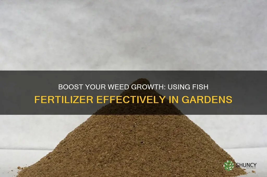 Boost Your Weed Growth: Using Fish Fertilizer Effectively In Gardens ...