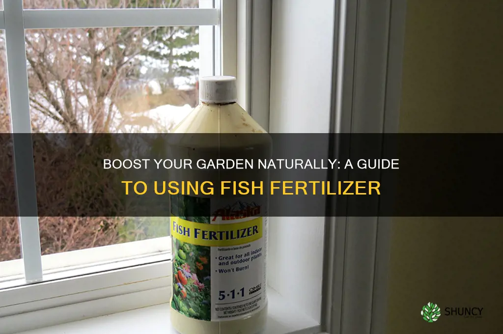 Boost Your Garden Naturally: A Guide To Using Fish Fertilizer | ShunCy