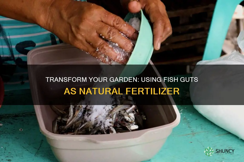 Transform Your Garden: Using Fish Guts As Natural Fertilizer | ShunCy
