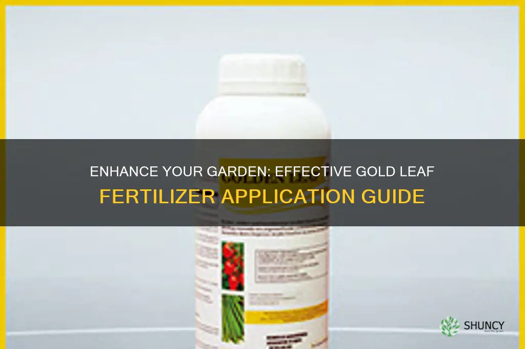 Enhance Your Garden: Effective Gold Leaf Fertilizer Application Guide ...