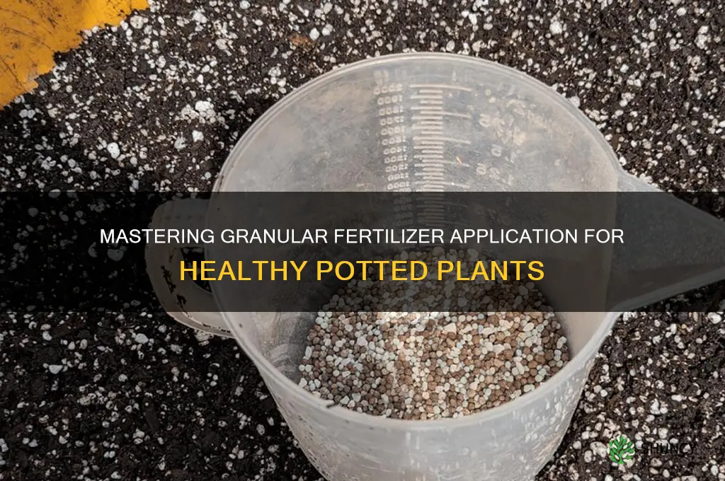 Mastering Granular Fertilizer Application For Healthy Potted Plants ...