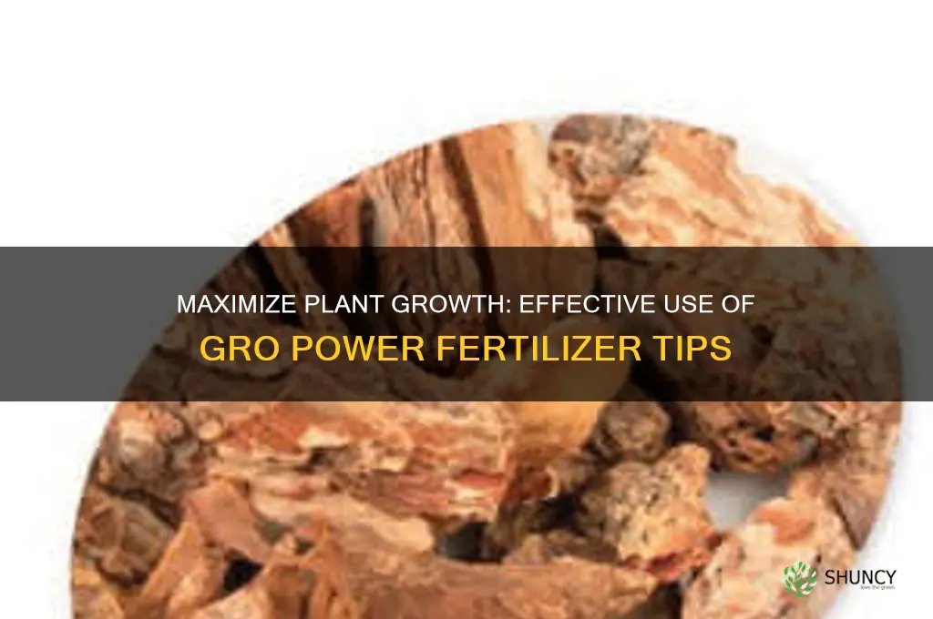 Maximize Plant Growth: Effective Use Of Gro Power Fertilizer Tips | ShunCy