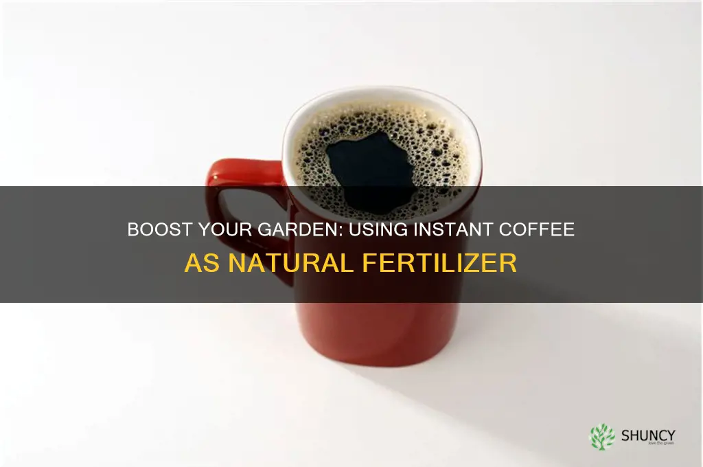 Boost Your Garden: Using Instant Coffee As Natural Fertilizer | ShunCy