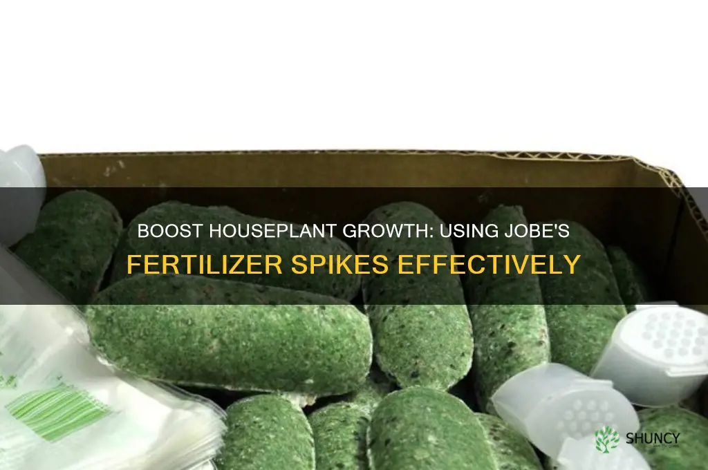 Boost Houseplant Growth: Using Jobe's Fertilizer Spikes Effectively ...
