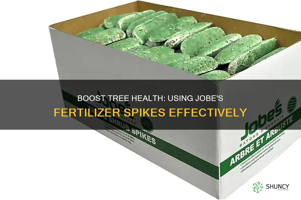Boost Tree Health: Using Jobe's Fertilizer Spikes Effectively | ShunCy