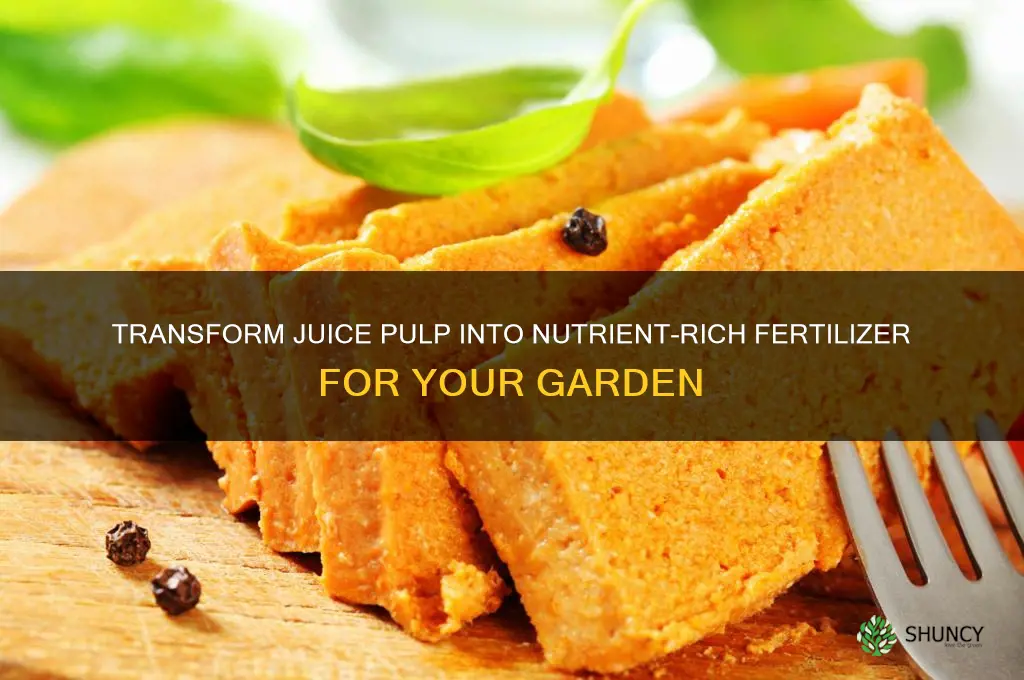 Transform Juice Pulp Into Nutrient-Rich Fertilizer For Your Garden | ShunCy