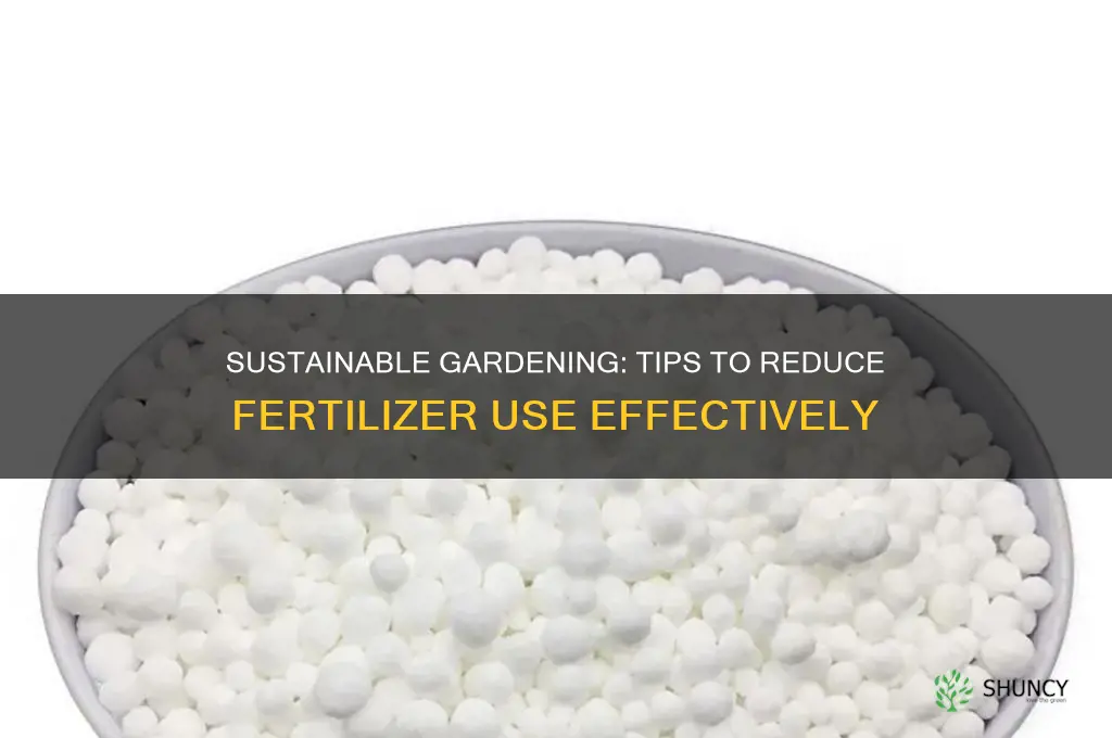 Sustainable Gardening: Tips To Reduce Fertilizer Use Effectively | ShunCy