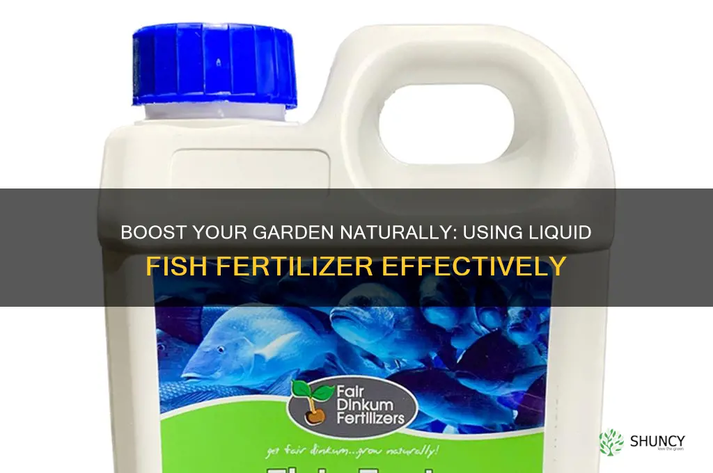 Boost Your Garden Naturally: Using Liquid Fish Fertilizer Effectively ...